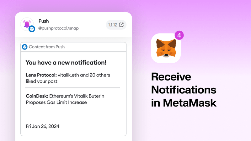 Push on the MetaMask Snaps Directory